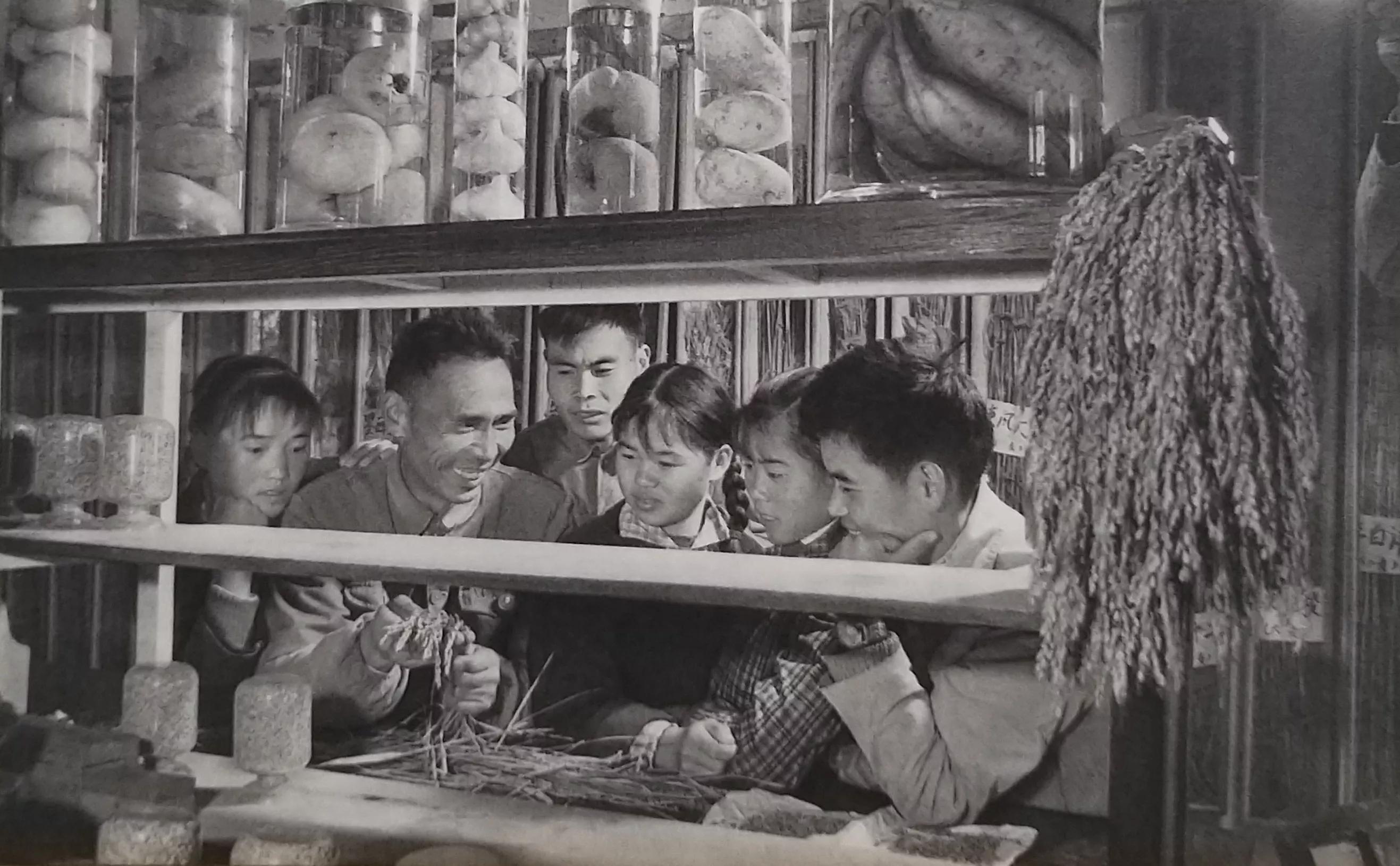 Xu Xing female member, praise! - iNEWS