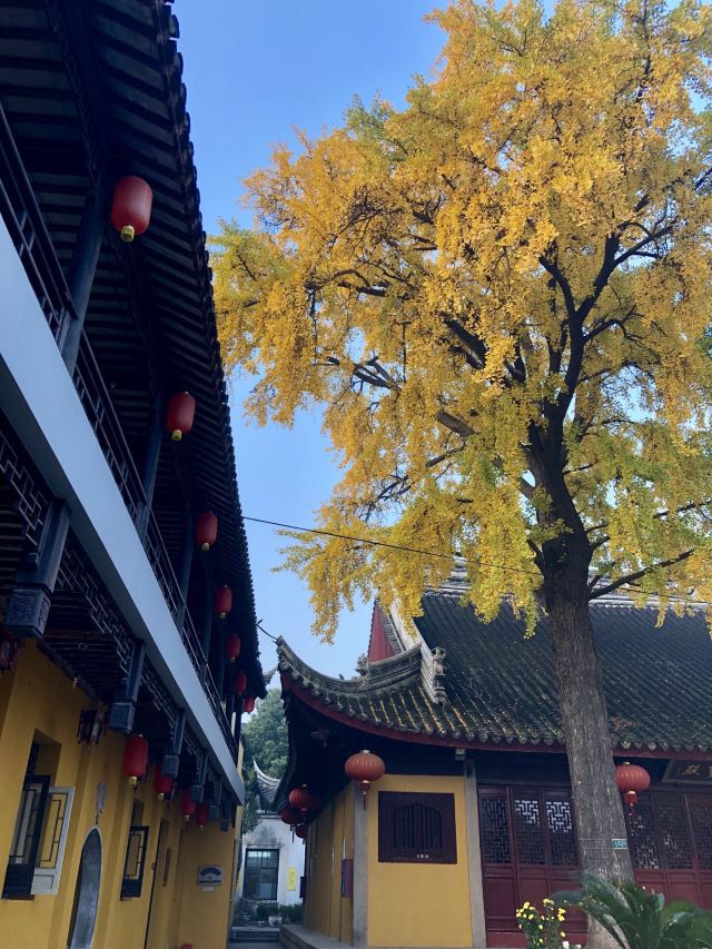 9 beautiful places to enjoy autumn in Suzhou, you must not miss it - iNEWS