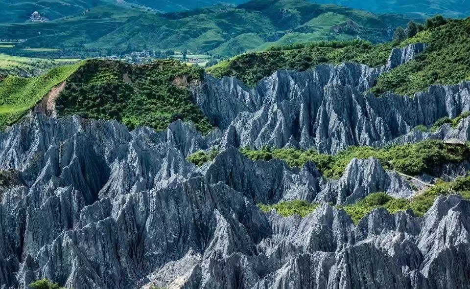 "Moshi Park" comes from a foreign planet in the world - iNEWS