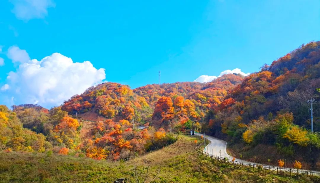Encounter the autumn scenery of the source of the Han River, gentle and ...