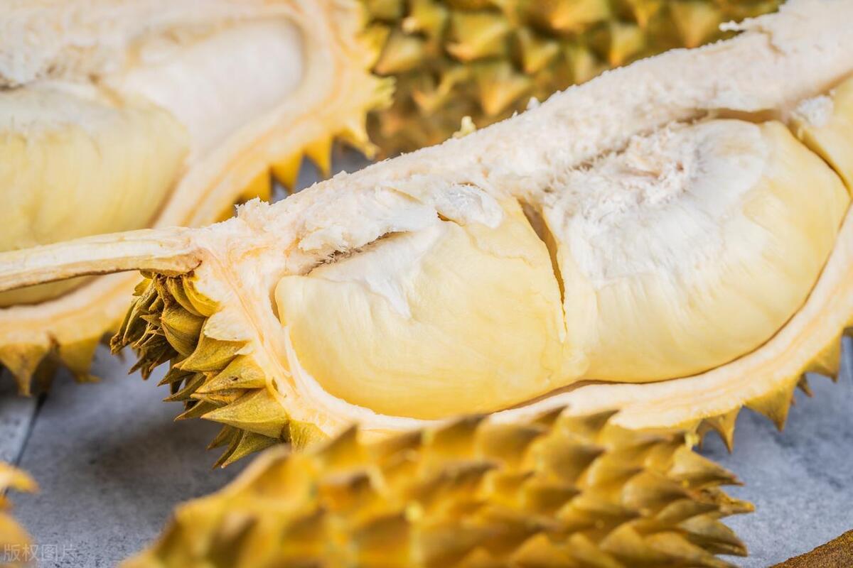 Inventory of 10 varieties of durian, each with different appearance and ...