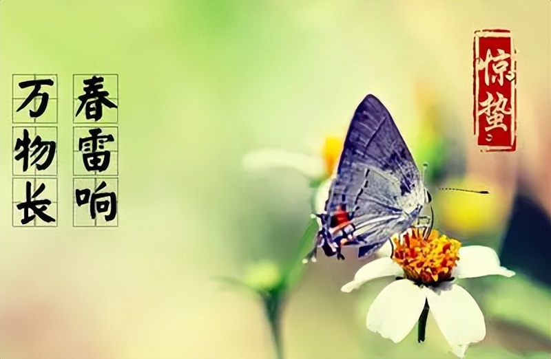 Twenty-Four Solar Terms - Awakening of Insects - iMedia