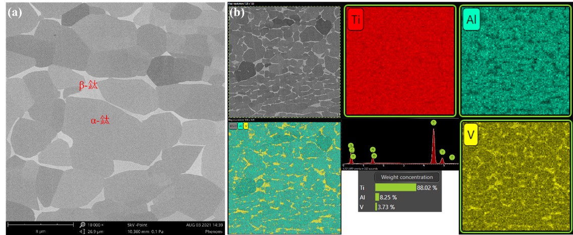Application of Scanning Electron Microscope in Analysis of Titanium ...