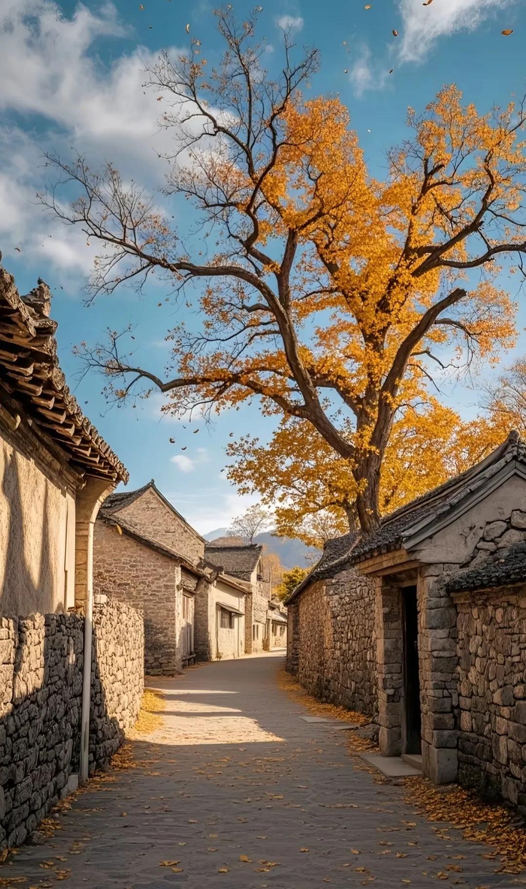 Family Gossip (10) - iNEWS