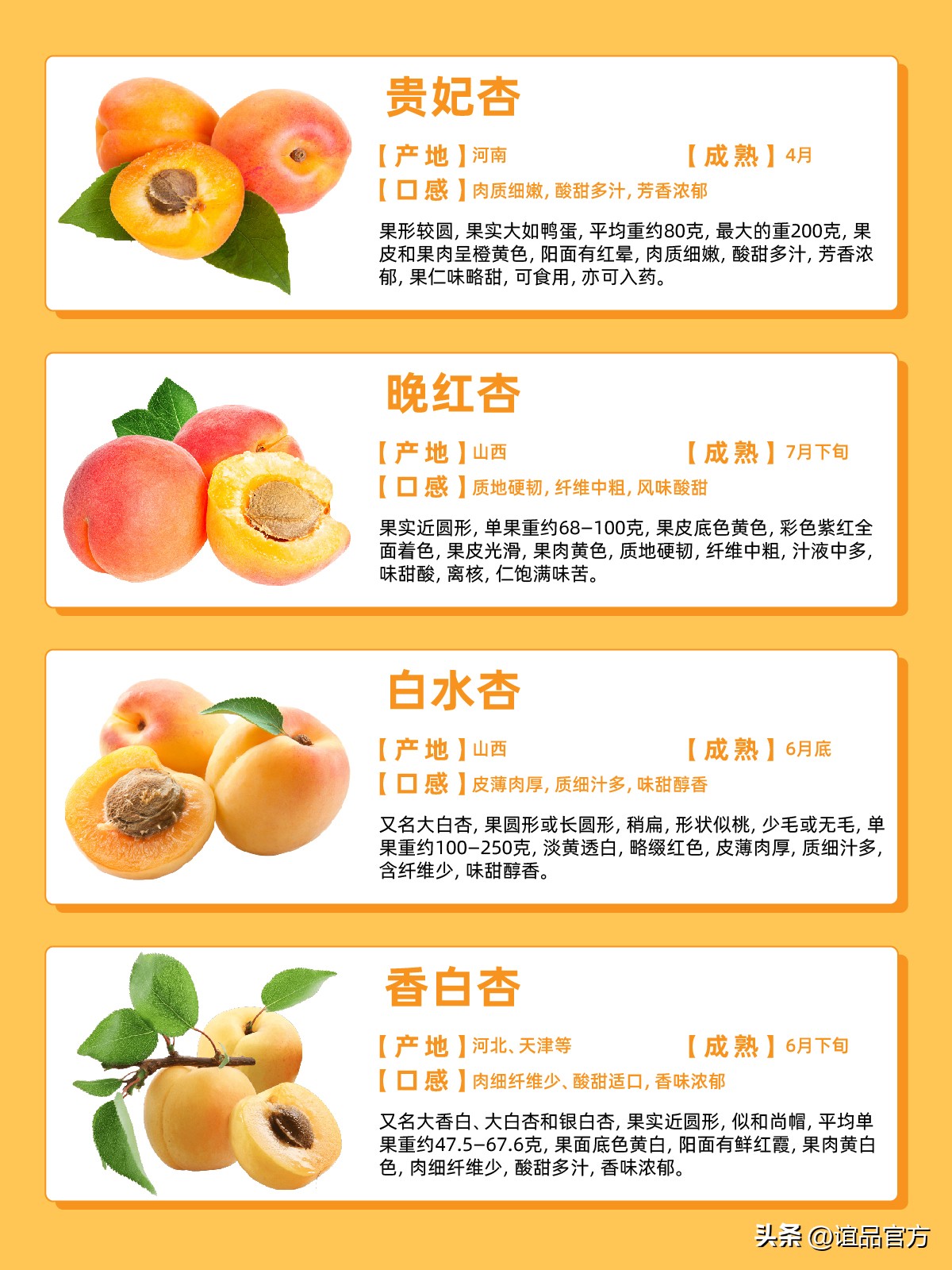 The name and taste of common apricots - iMedia