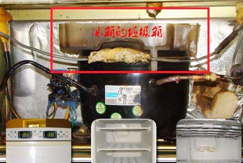 Have you cleaned the water storage box behind the refrigerator?Quickly ...