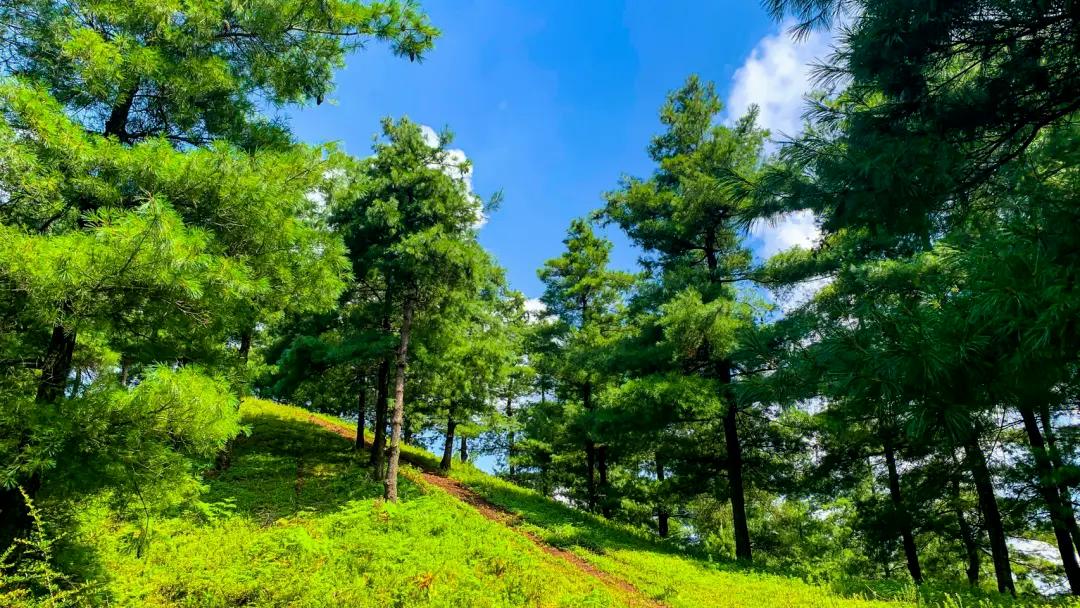 Where the oxygen content is low, is the concentration of negative ...