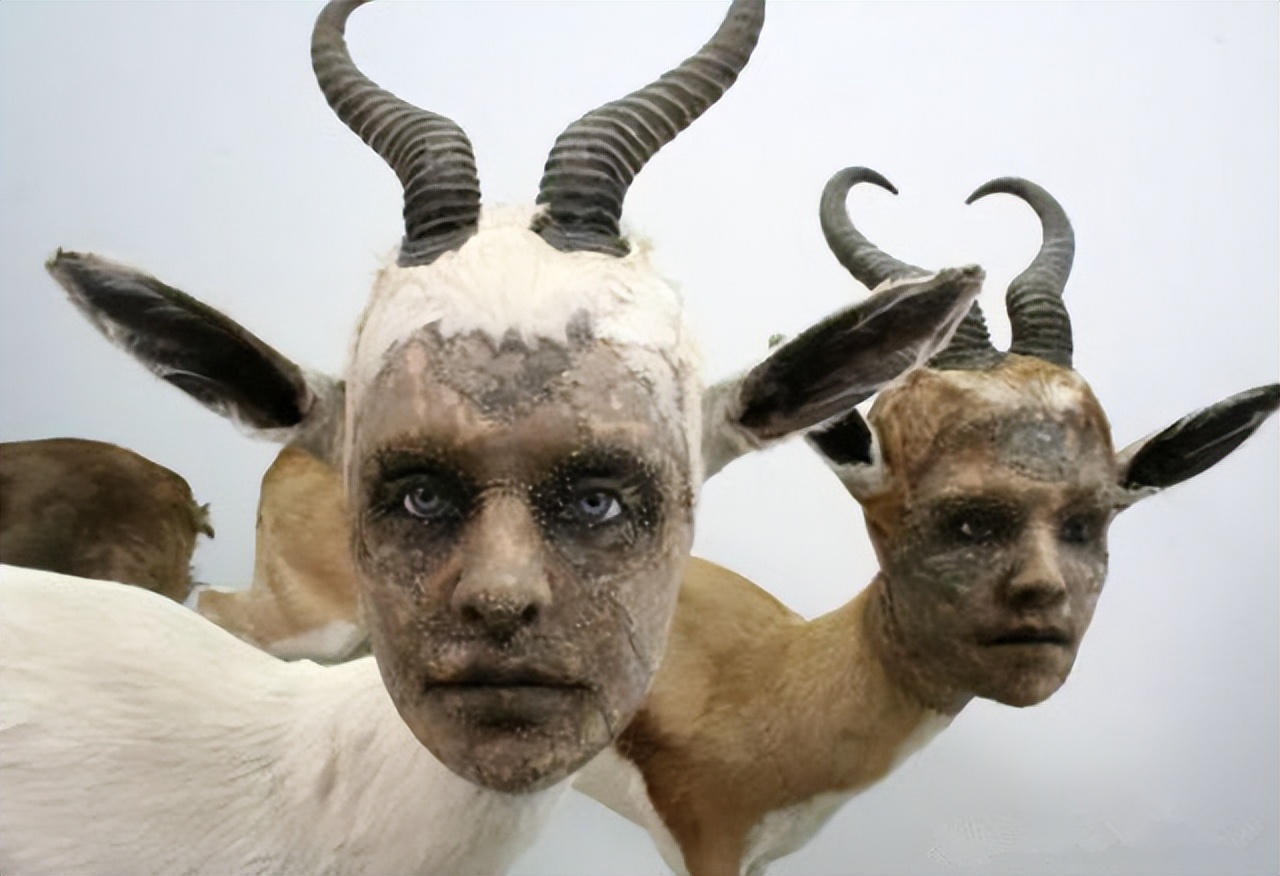 The Truth About Human Chimeras: Are They Monsters or Miracles? - iNEWS