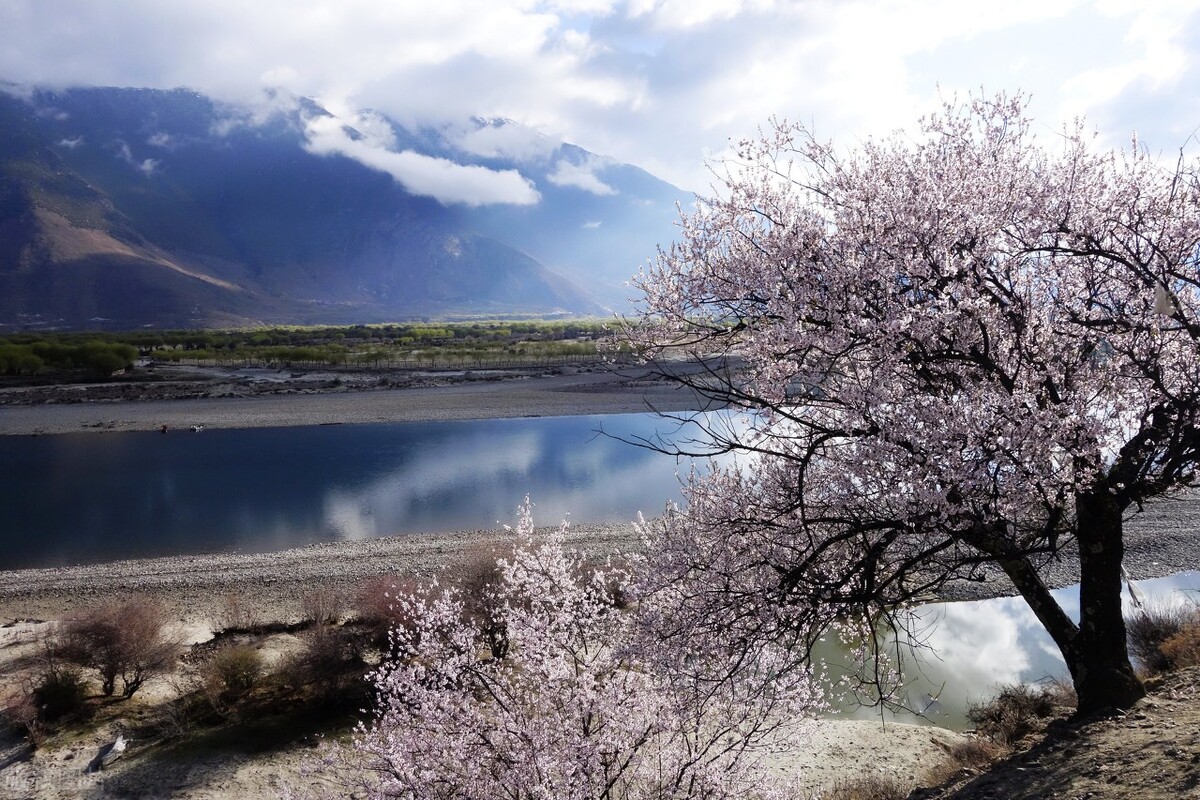 How to go to Tibet in spring?What are the must-see attractions when ...