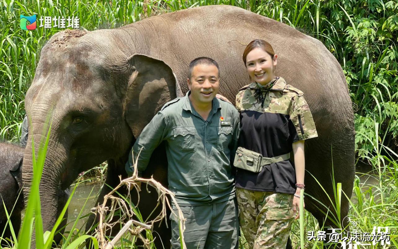 TVB's "Infinite Road 2: Priceless Guarantee" is over 200 million, what ...