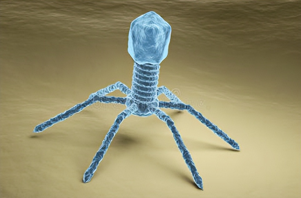 Take a look at the past and present of phage display technology - iMedia