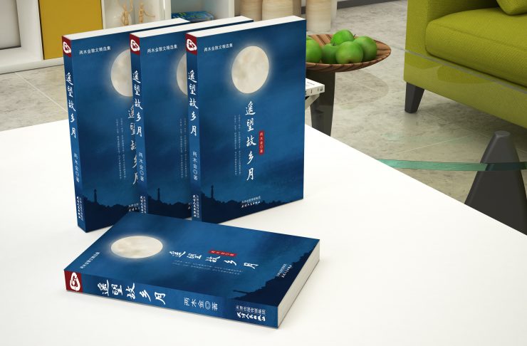 Book Review Thoughts after reading Teacher Liang Mujin's "Looking at ...