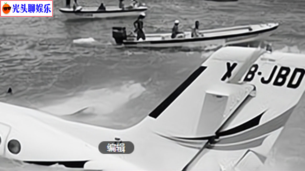 Egypt Flight 990 accident: The pilot deliberately turned off the engine ...