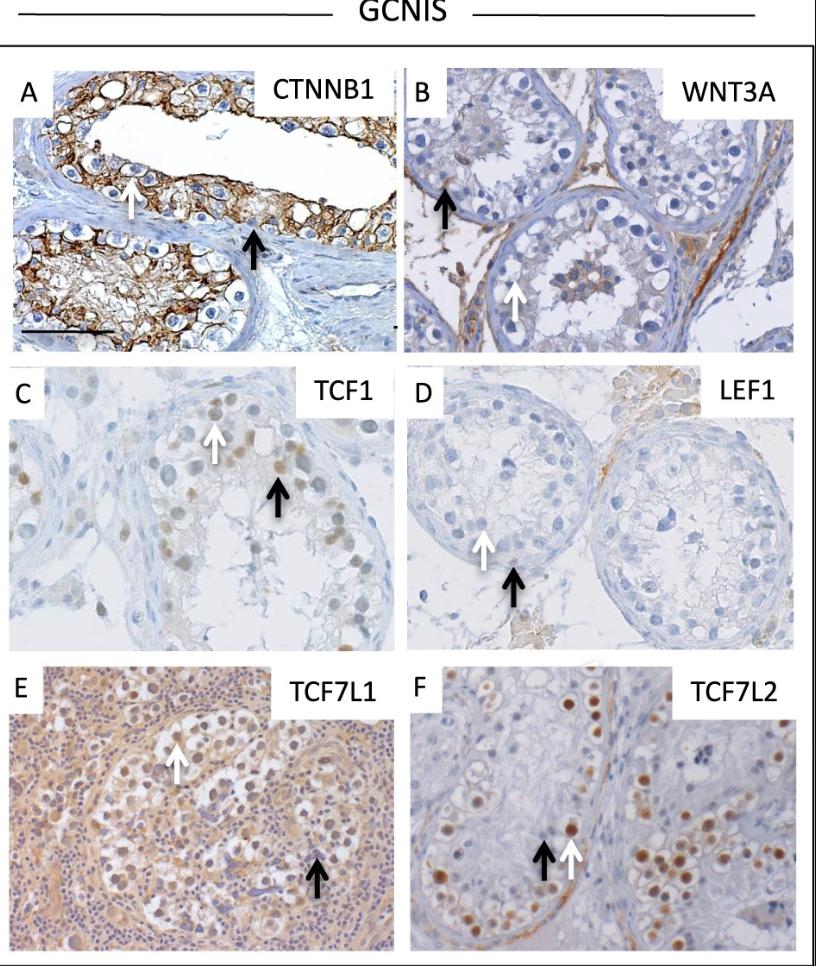 [Literature Interpretation] The first district of the Chinese Academy ...