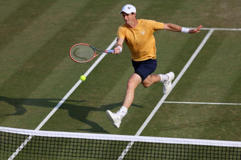 Murray makes a comeback! The Knockout has won 7 consecutive victories ...