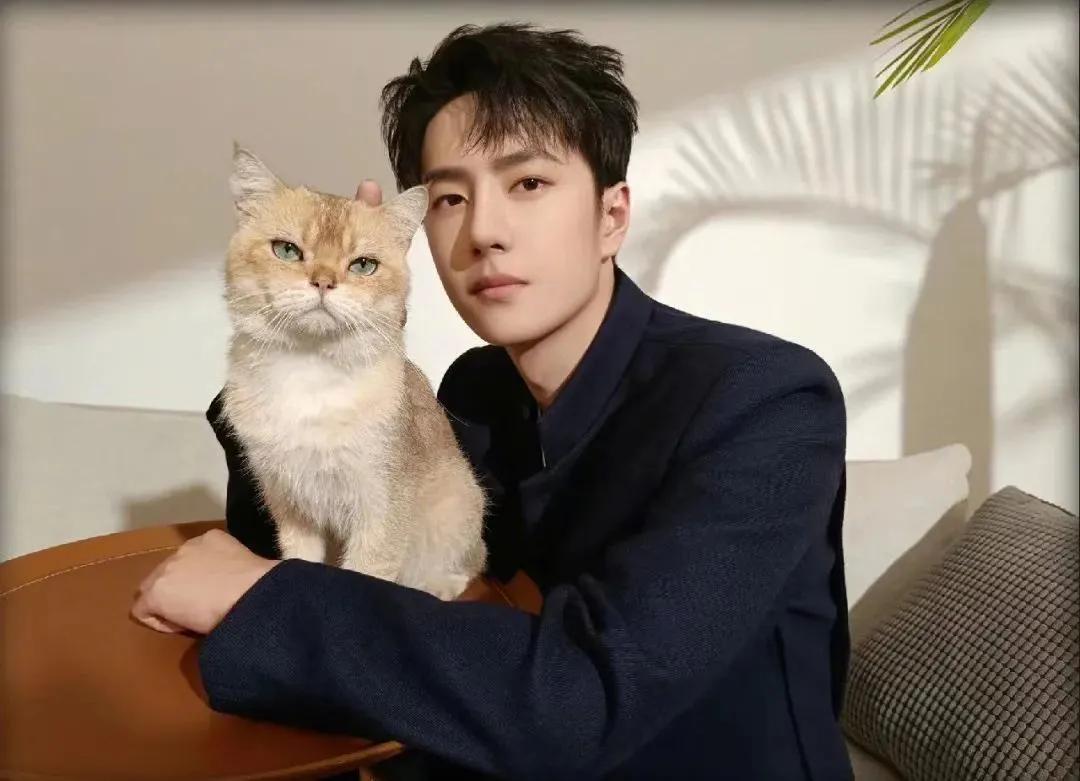 Entertainment Breaking News: Wang Yibo, Yang Zi, Zhu Yilong, Chen Duling, Bai Jingting, Tang Yan ...