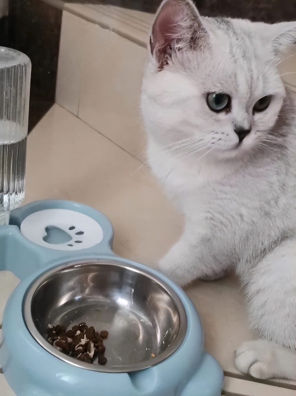 The silver gradient has the following conditions, that is, "calcium ...