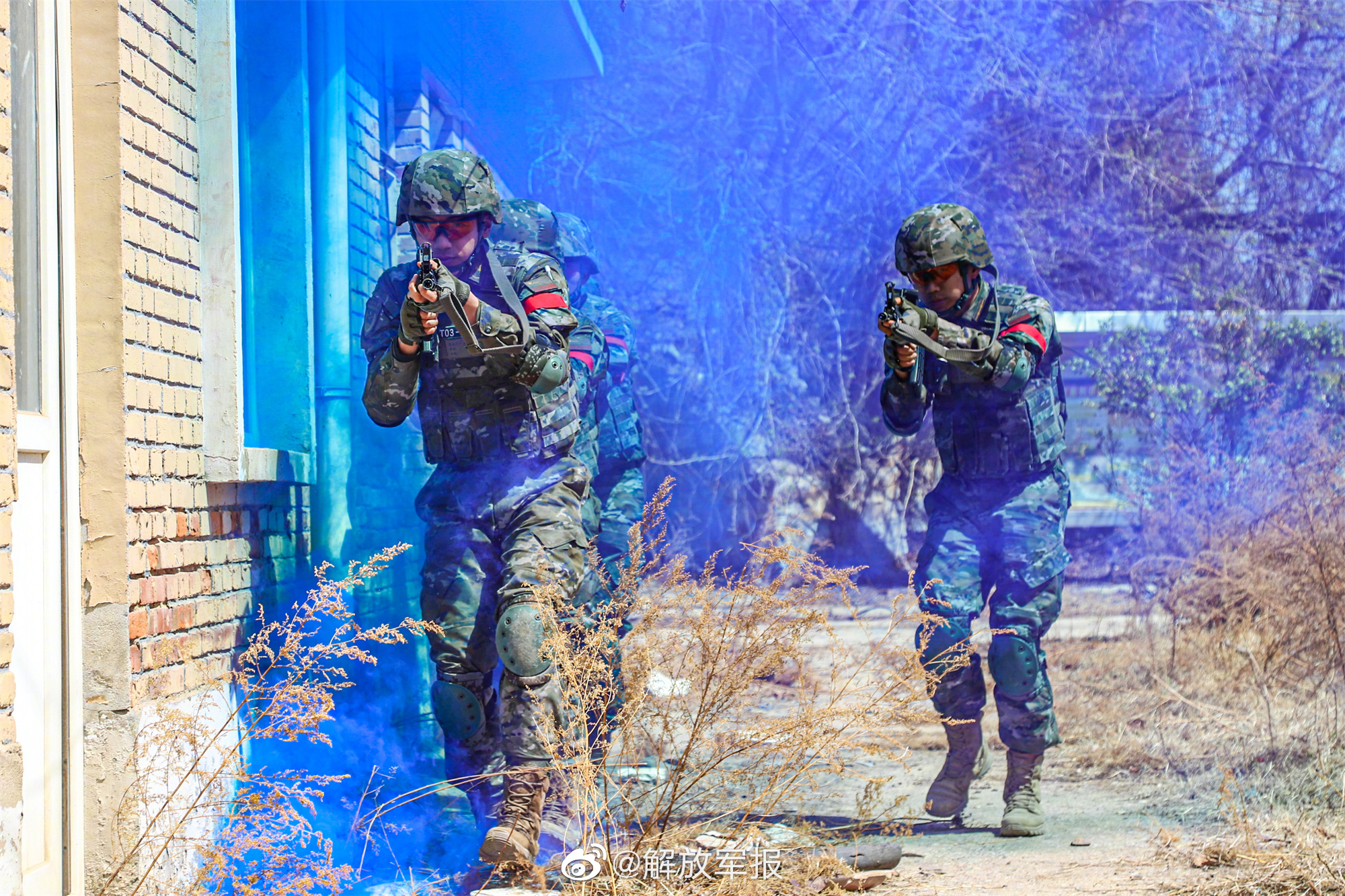 Photos! Straight hit special operations team tactical training - iNEWS