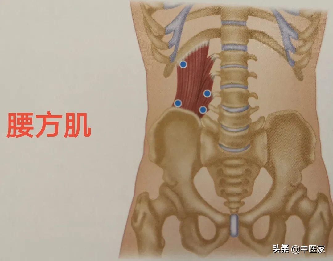What is the principle of curing lumbar muscle strain in 90 seconds ...