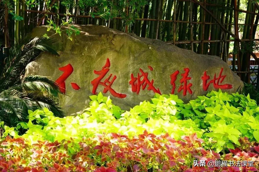 "Travel in Shanghai" Green Space in the Nightless City: Colorful Autumn ...