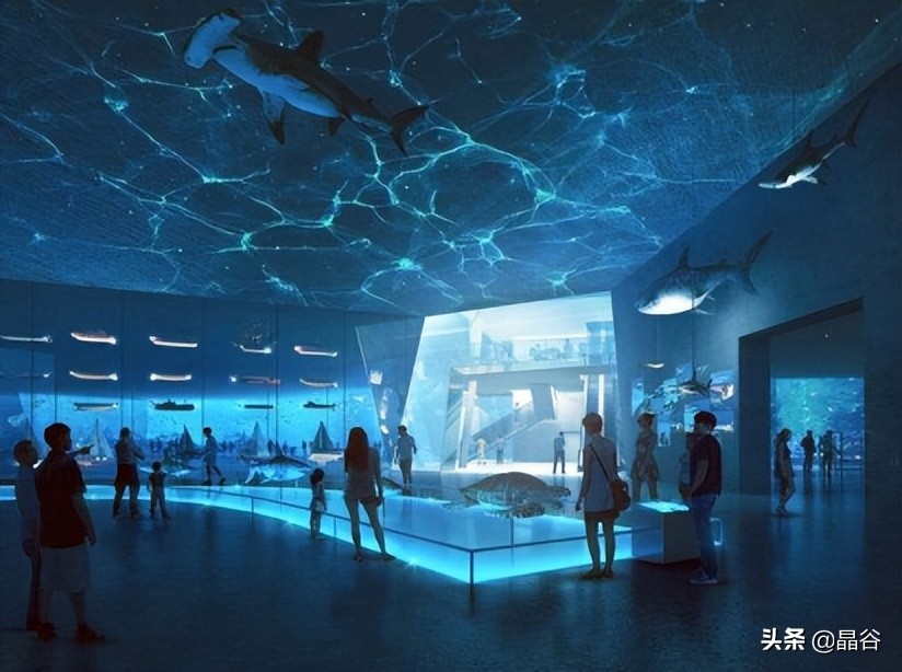 Sea life scene lighting - iNEWS