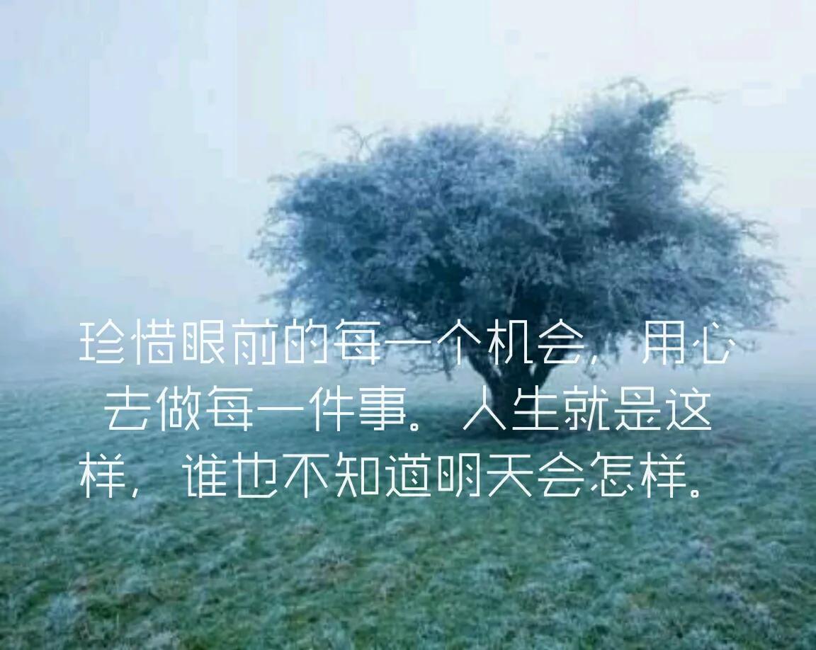 The world is impermanent, filial piety should be performed as early as ...