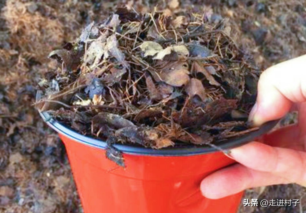 Adding vegetable leaves, dead leaves and two kinds of husks to the ...
