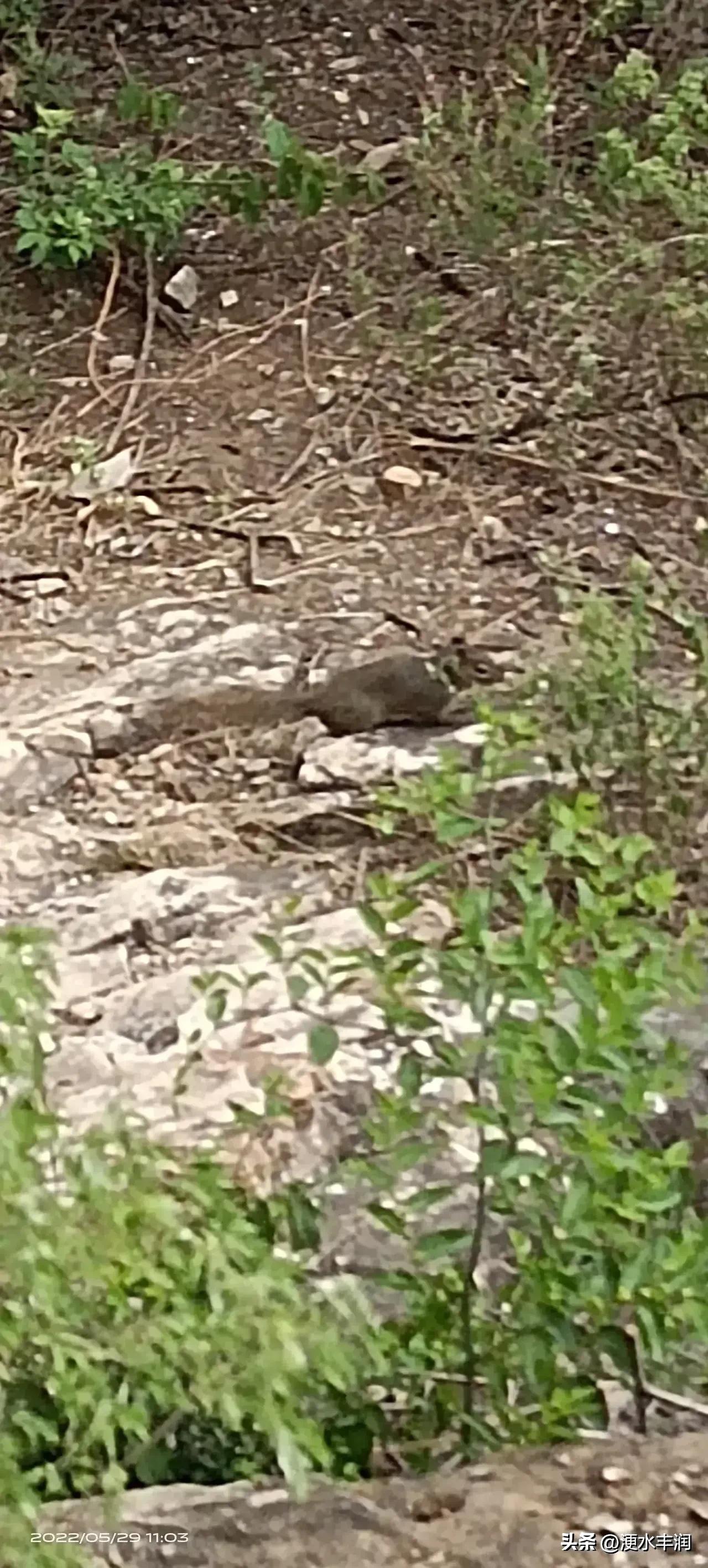 One of the Eight Scenic Spots Inscribed with Gold in the Immortal Cave ...