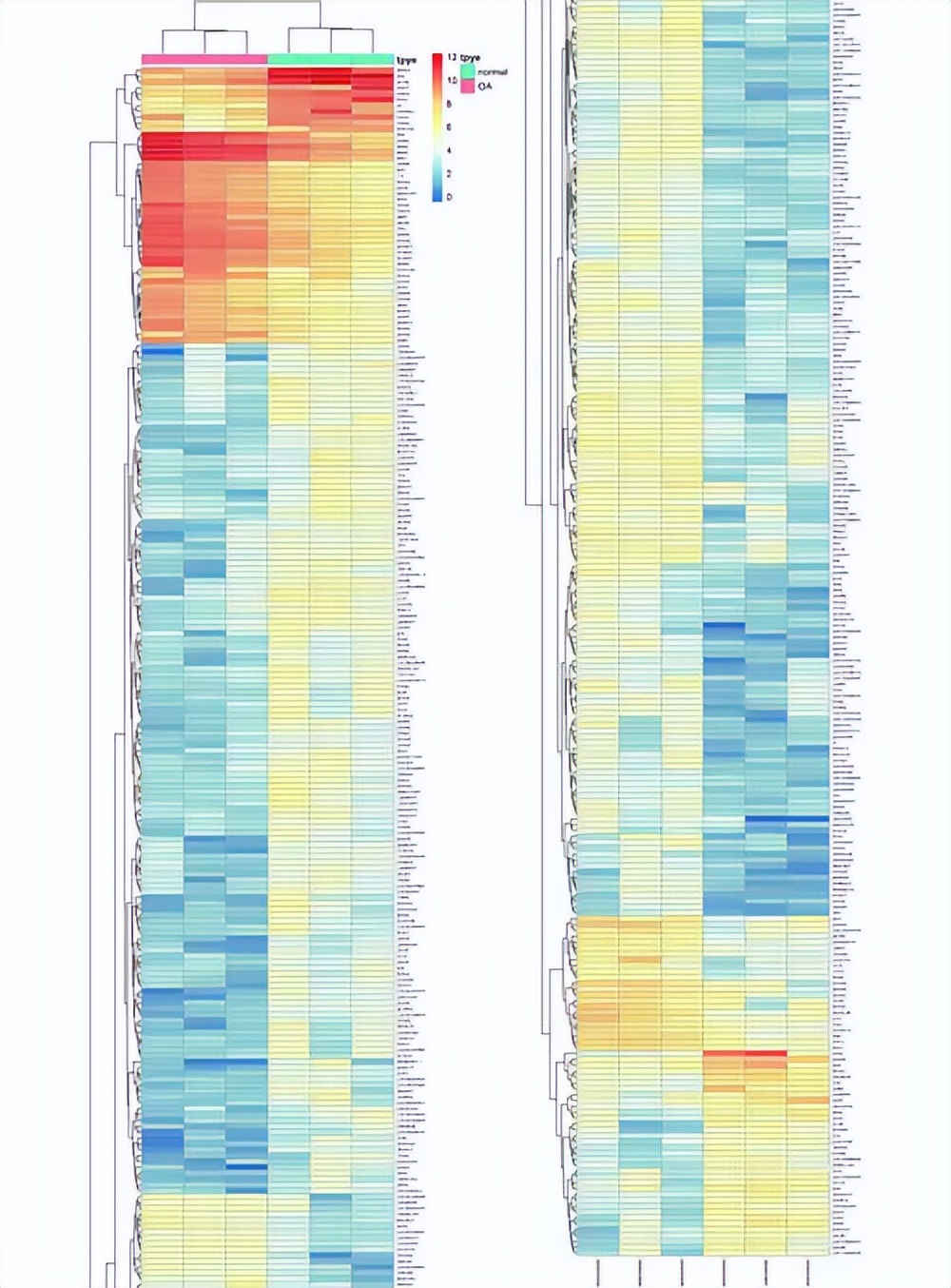 Characterization and transcription of UDP-galactose 4-isomerase galE ...