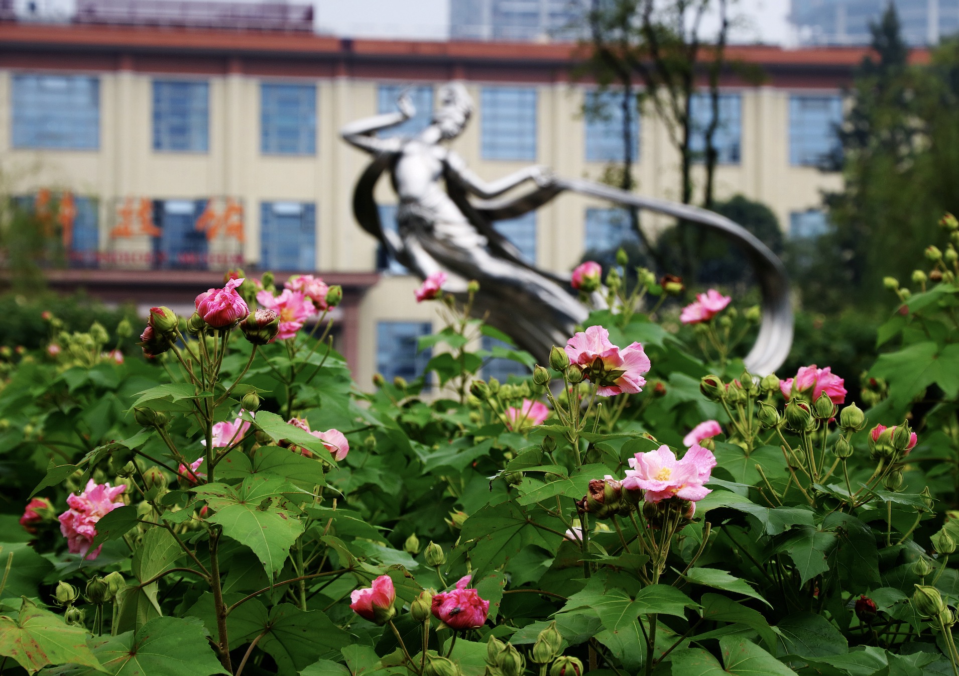 I have seen wisteria, hydrangea, blue jacaranda, yellow flower, wind ...