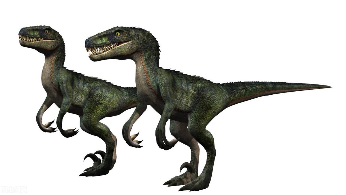 The most ferocious and insidious dinosaur - Velociraptor - iNEWS