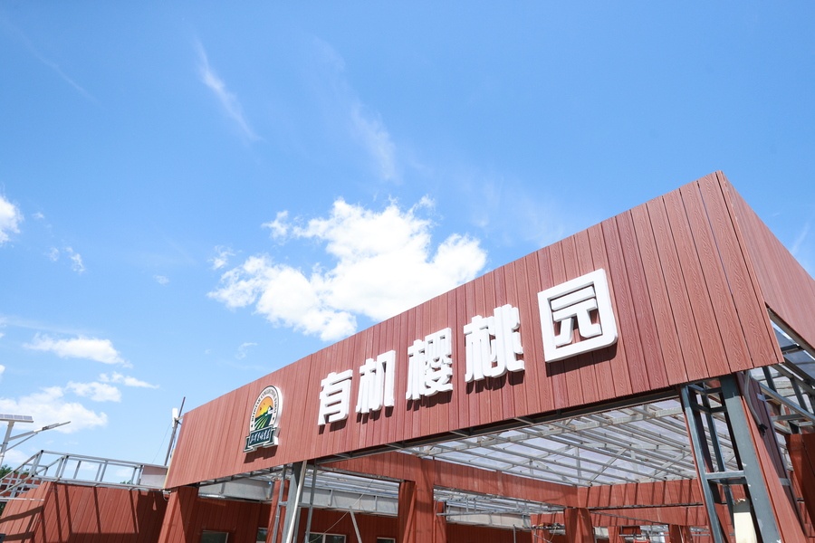 A new option for camping. Shounong Red Star Collective Farm - iNEWS