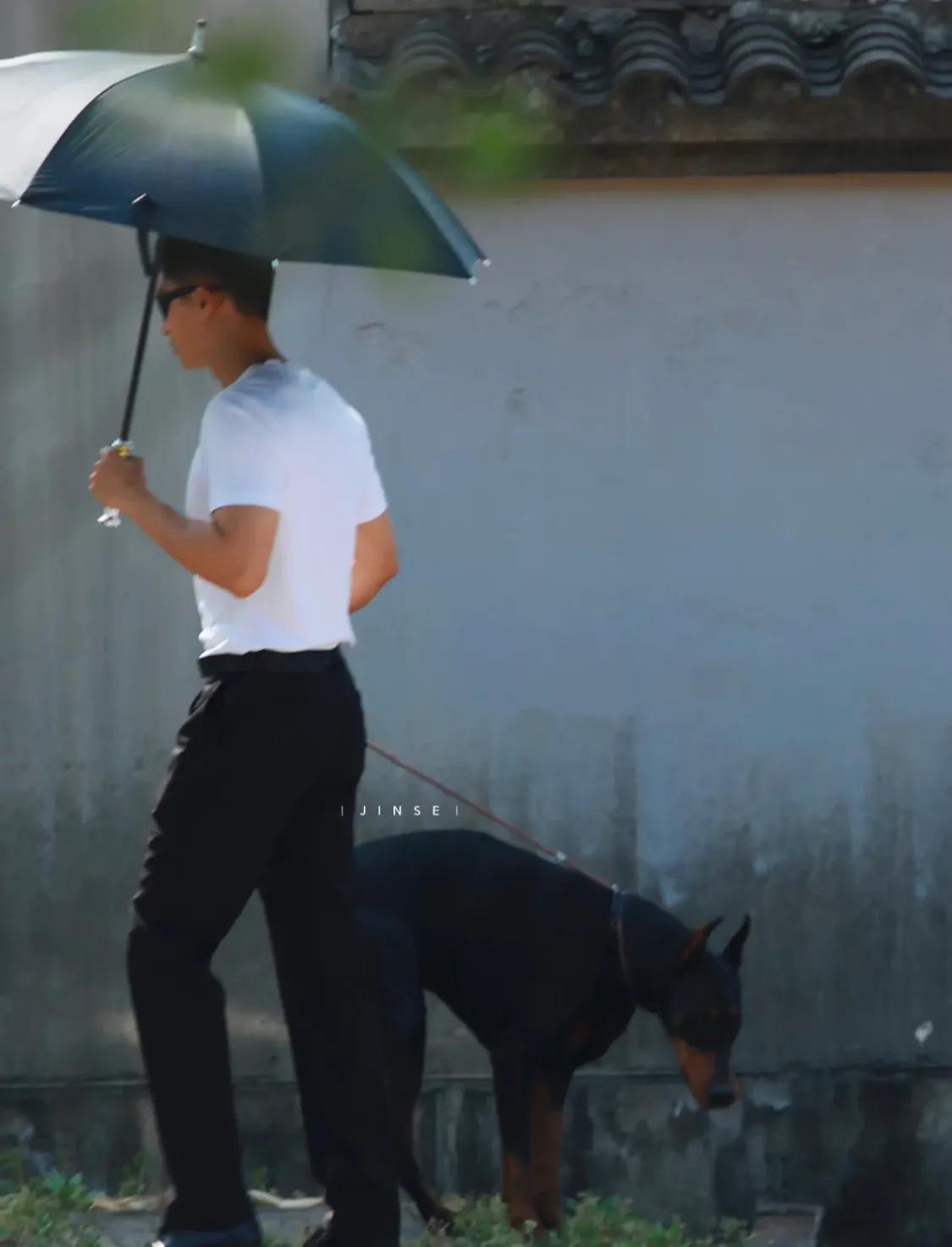 President Huang Jingyu and his dog - iNEWS