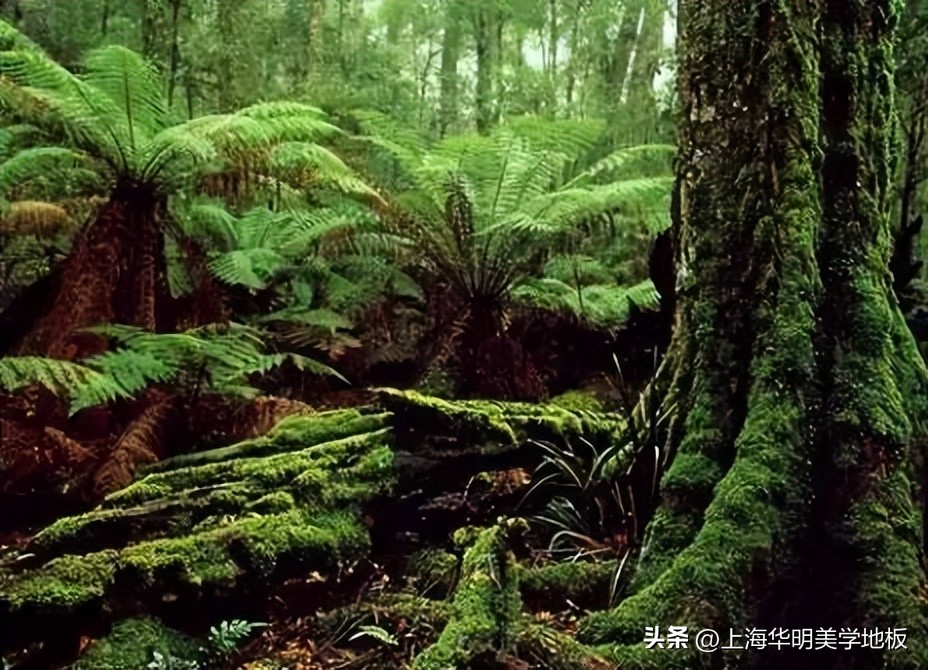 Shanghai Huaming Aesthetics——The Power of Wildness Breeding in the ...