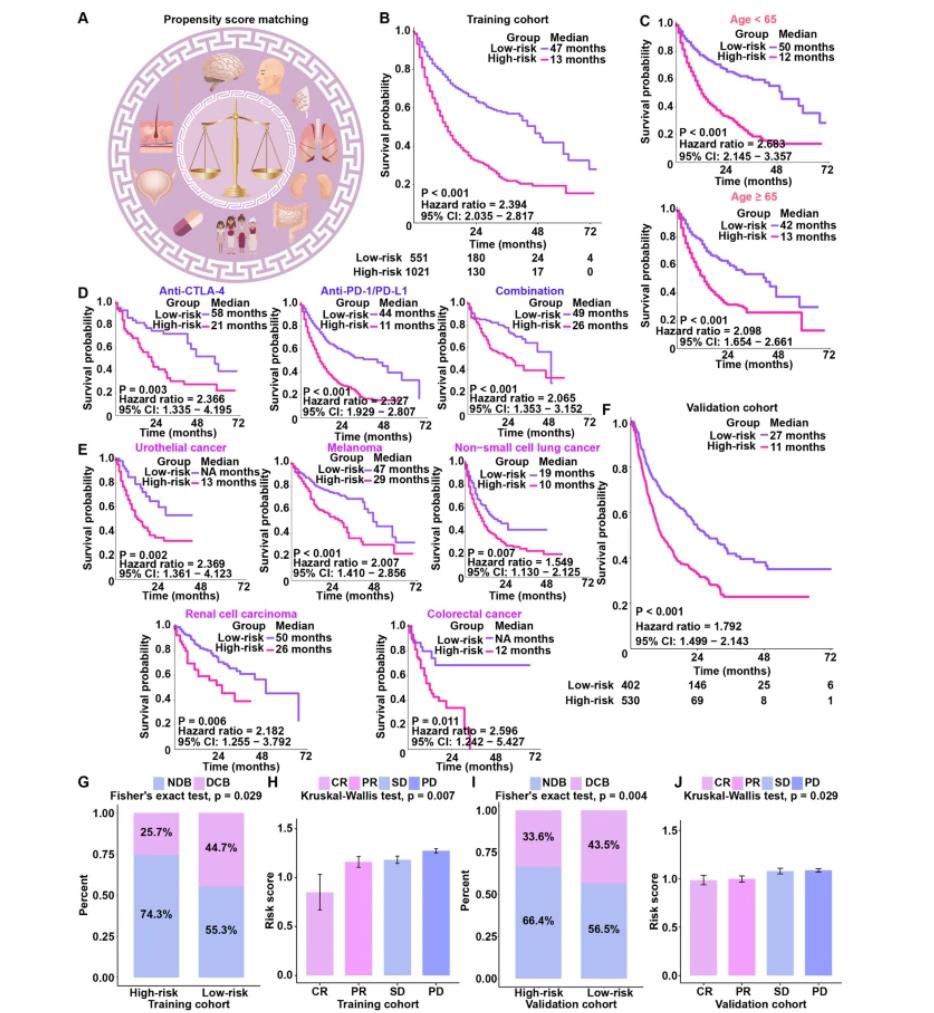 Exploration based on gene mutation to predict the efficacy of multi ...