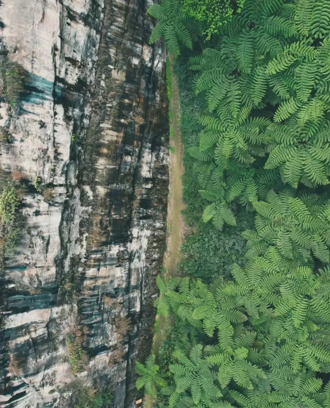 Treasure outdoor trekking sites around Chengdu, a realistic version of ...