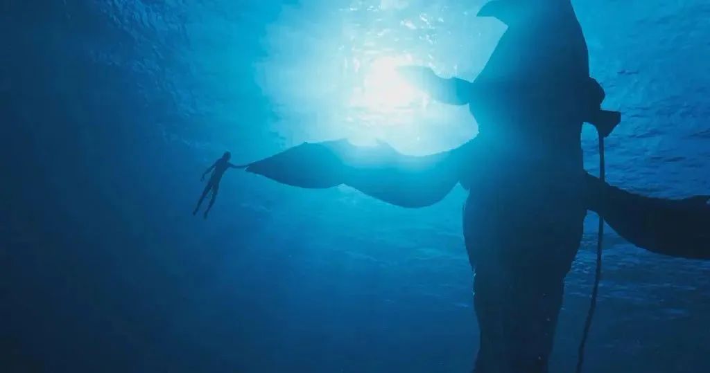 I see you! [Avatar 2] movie lines, super healing~ - iMedia