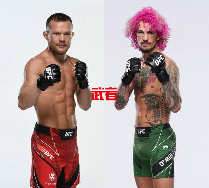 Ufc 280 Lina Lansberg Vs Carl Rosa Inews