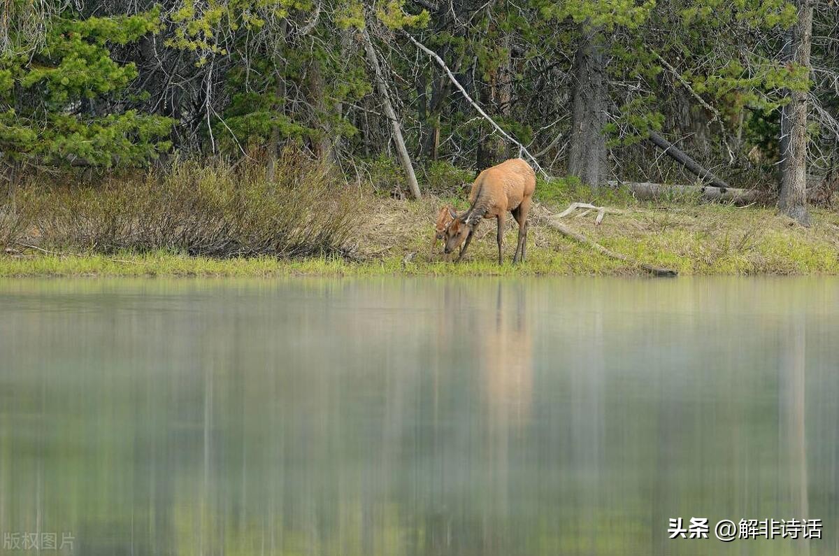 The Wordless Wise Man (four poems) - iMedia