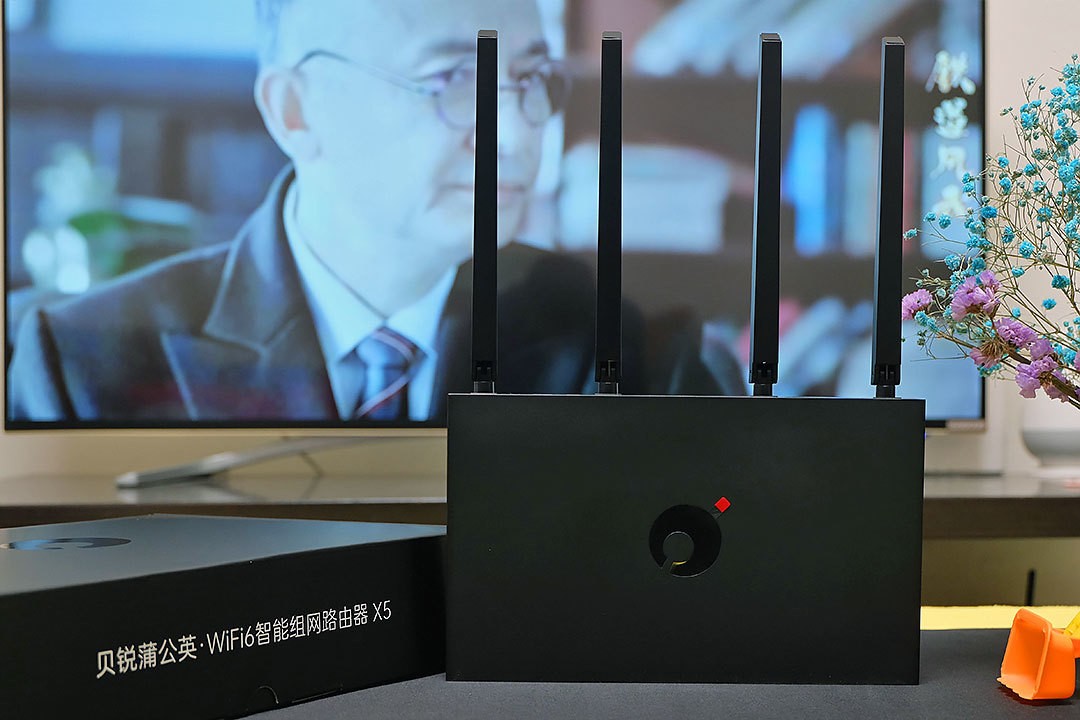 How to choose a remote office router? Dandelion X5 Smart Networking ...