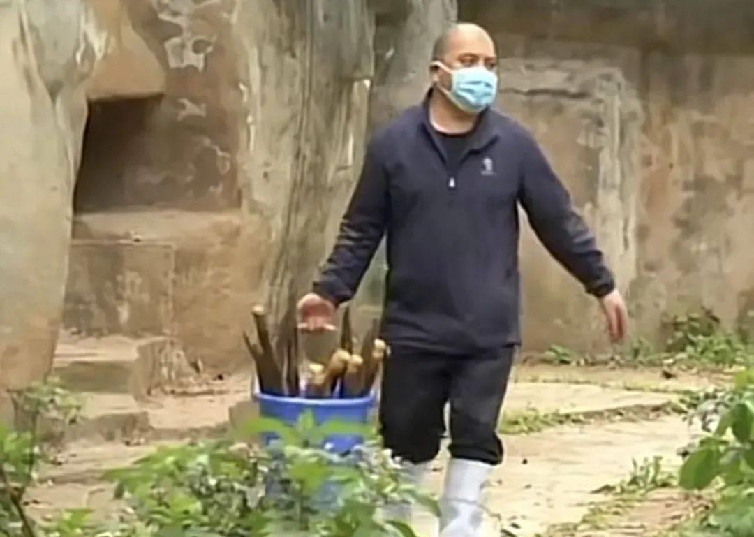 It turns out that Jackie Chan will play Grandpa Tan in his new movie ...