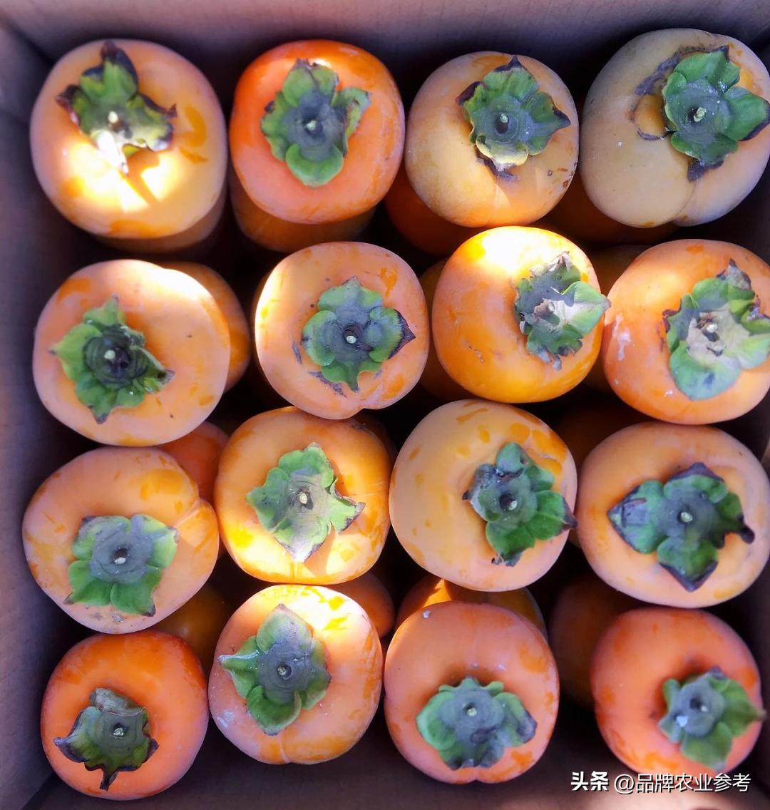 1 million yen for two persimmons!Revealing the ins and outs of Japan's ...