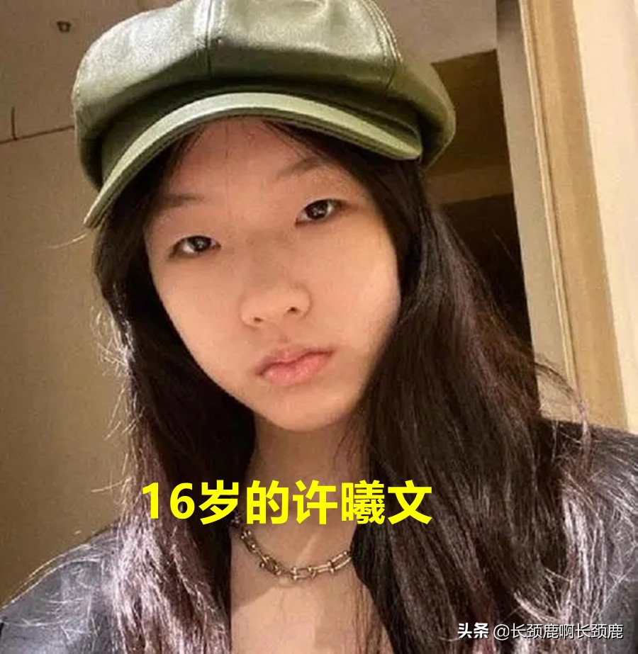 Xiao S's daughter Xu Xiwen posted beautiful photos, but the comments ...