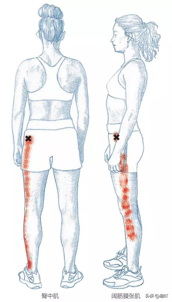 The stretching method for knee joint and peripheral pain, understand ...