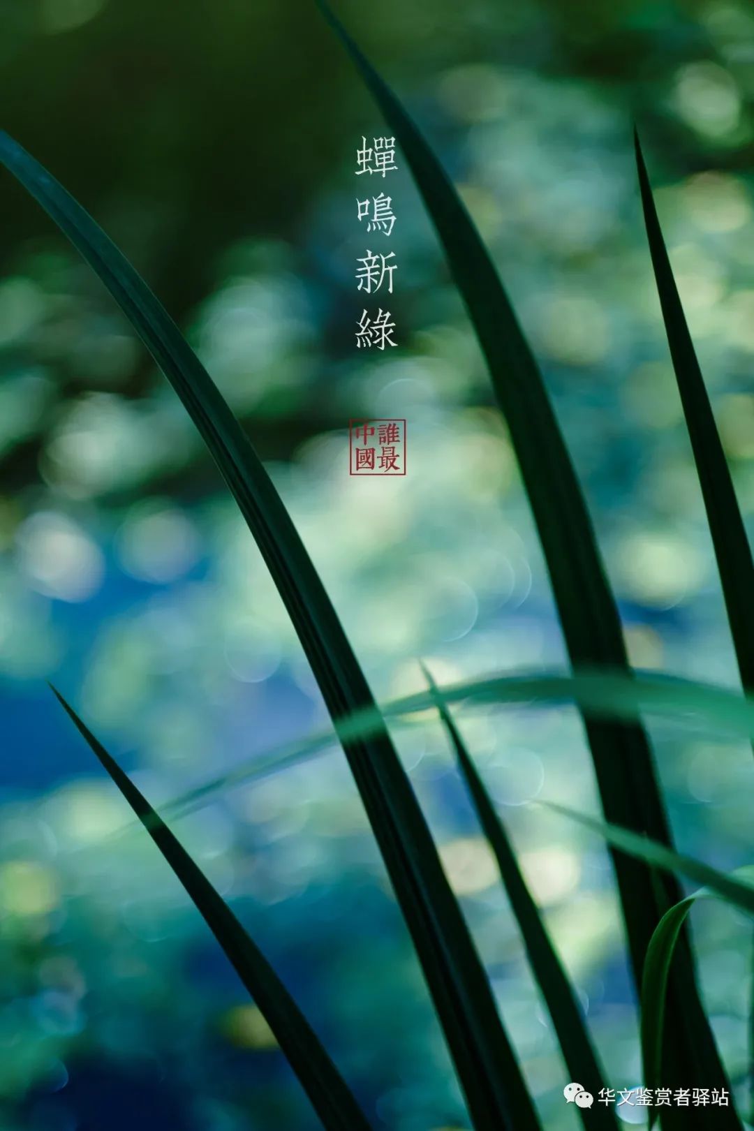 Zhou Shengxiang: An Analysis of Poems from the Species of Mango - iNEWS