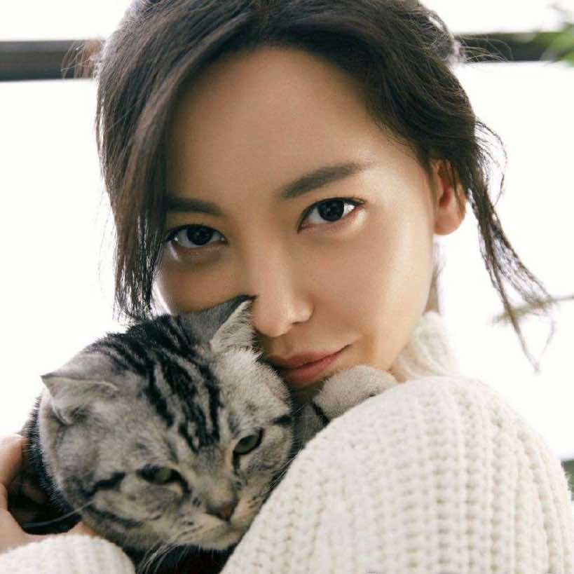 Looking at Yu Wenwen 5 years later, she who regards "Decent" as a ...