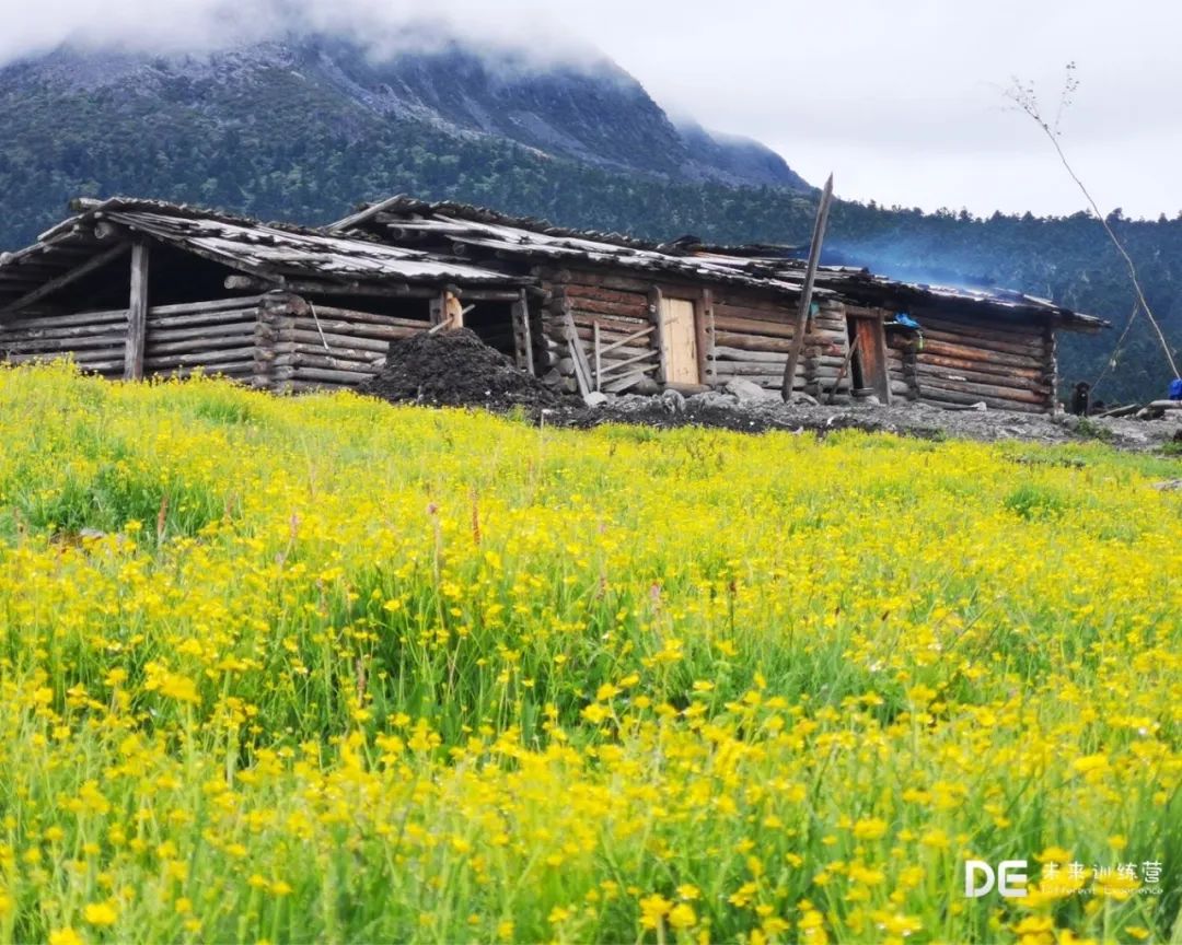 Without freedom, there can be no true education - iNEWS