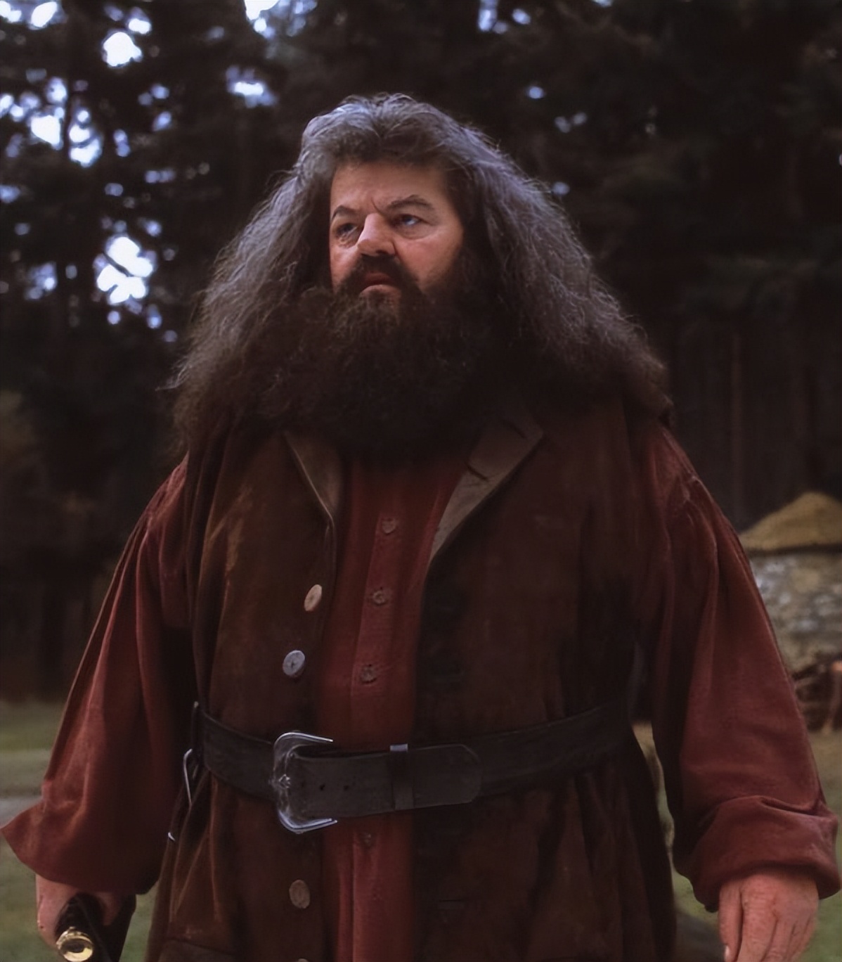 "Harry Potter" actor Hagrid dies, fans raise wand to give him a final ...
