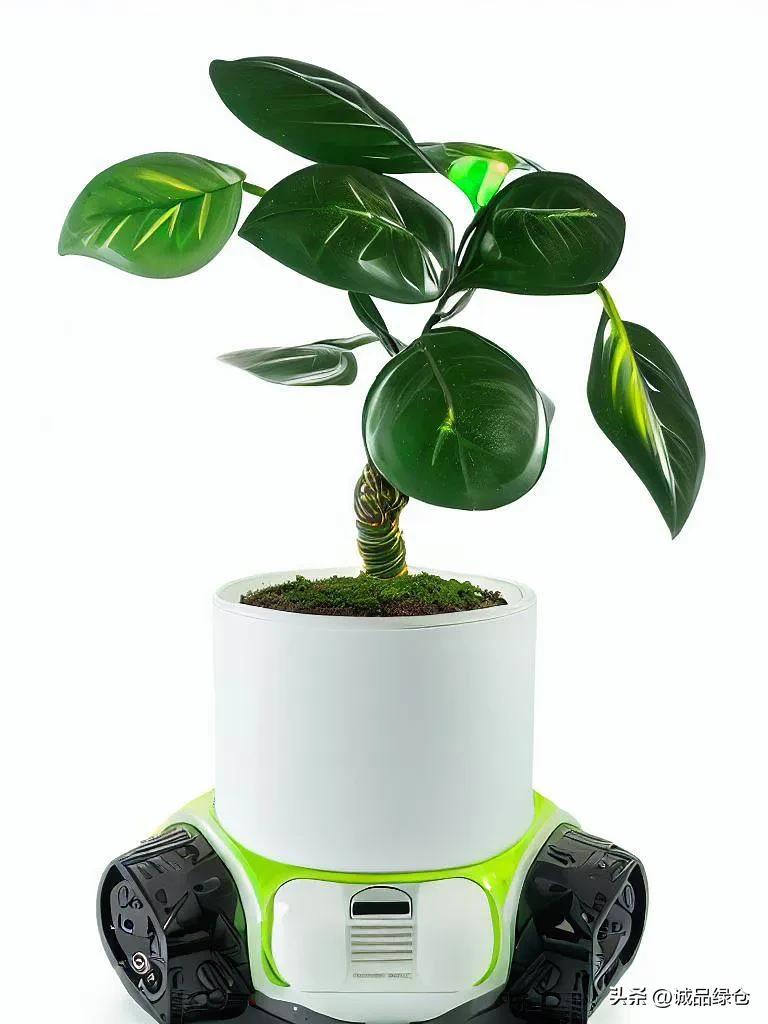 Plant Robot: A Wonderful Creation That Talks, Listens, and Sings - iMedia
