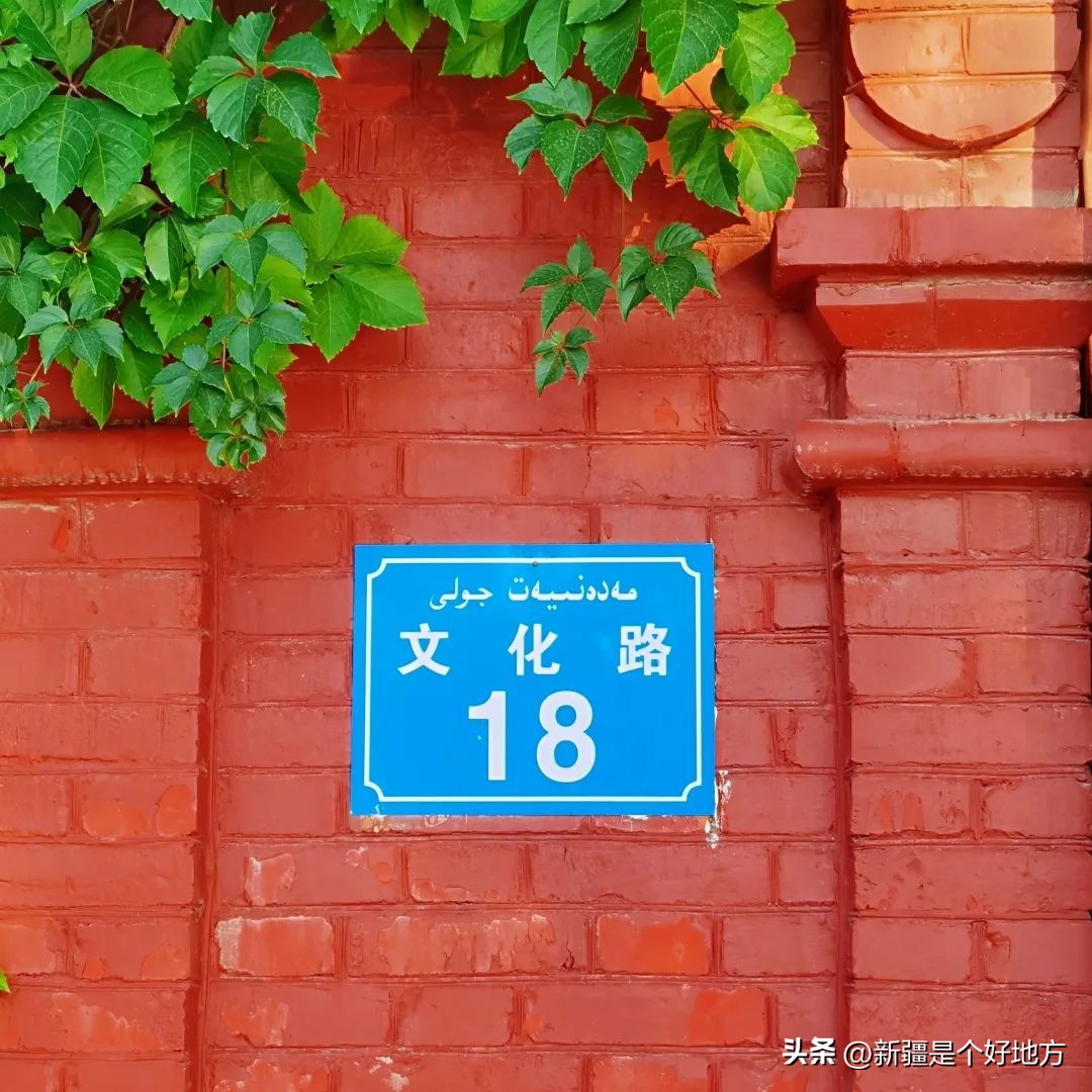 An eye-to-eye with history at the Red House Museum - iMedia